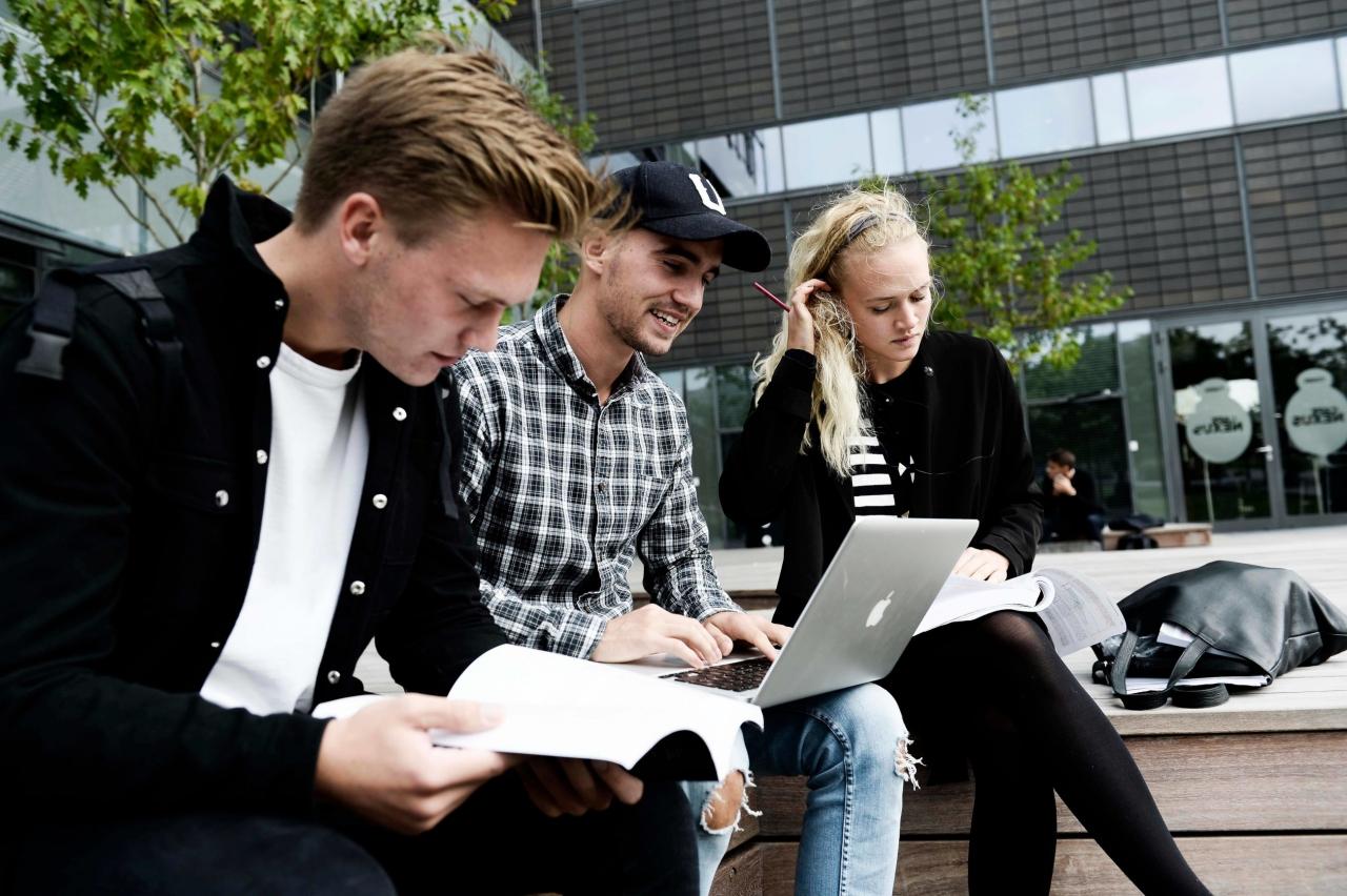 Blended Learning: The Student Perspective On Blended Courses